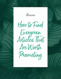 Free Lead Magnet Templates eBooks, Workbooks etc - Beacon